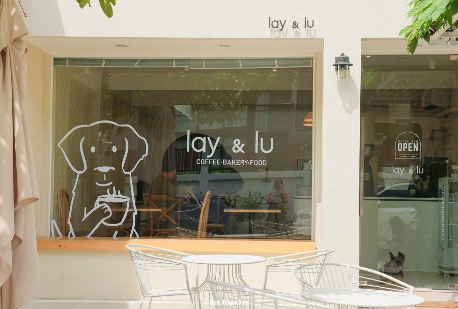 รวม 13 คาเฟ่สุนัขเข้าได้ เจ้าของแฮปปี้ น้องหมาก็แฮปปี้ - Jojo House Dog ...