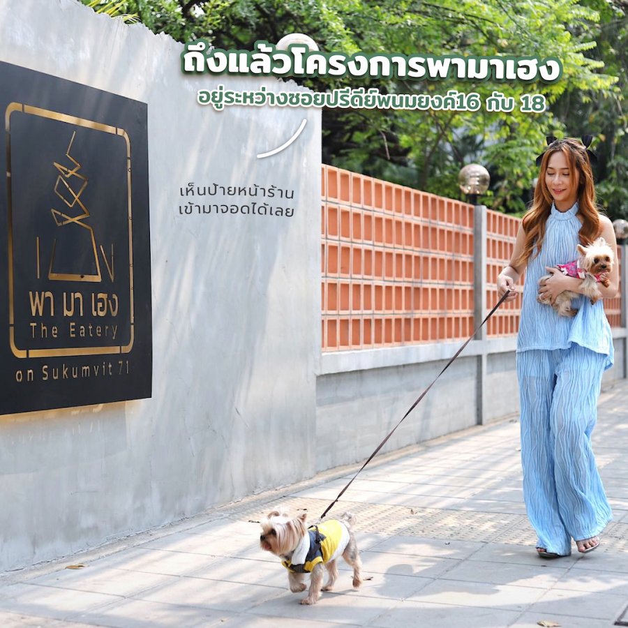 รวม 13 คาเฟ่สุนัขเข้าได้ เจ้าของแฮปปี้ น้องหมาก็แฮปปี้ - Jojo House Dog ...